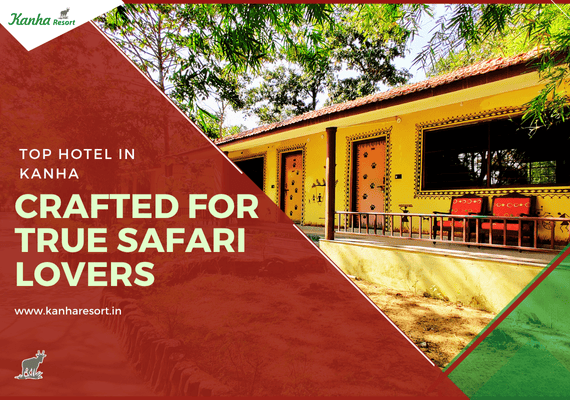 Top Hotel in Kanha – Ultimate Stay for Safari Lovers